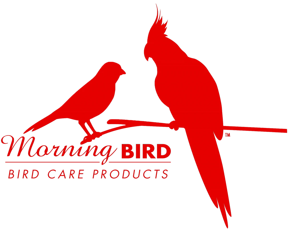 Morning Bird – BirdAgents.pk