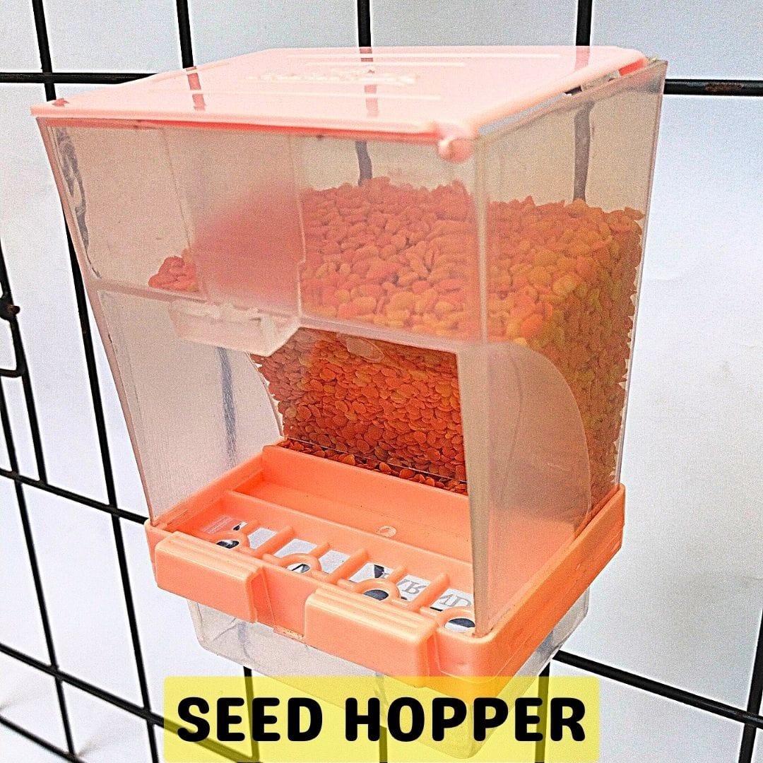 Seed Hopper Feeder - Provide A Clean Efficient Way To Feed – BirdAgents.pk