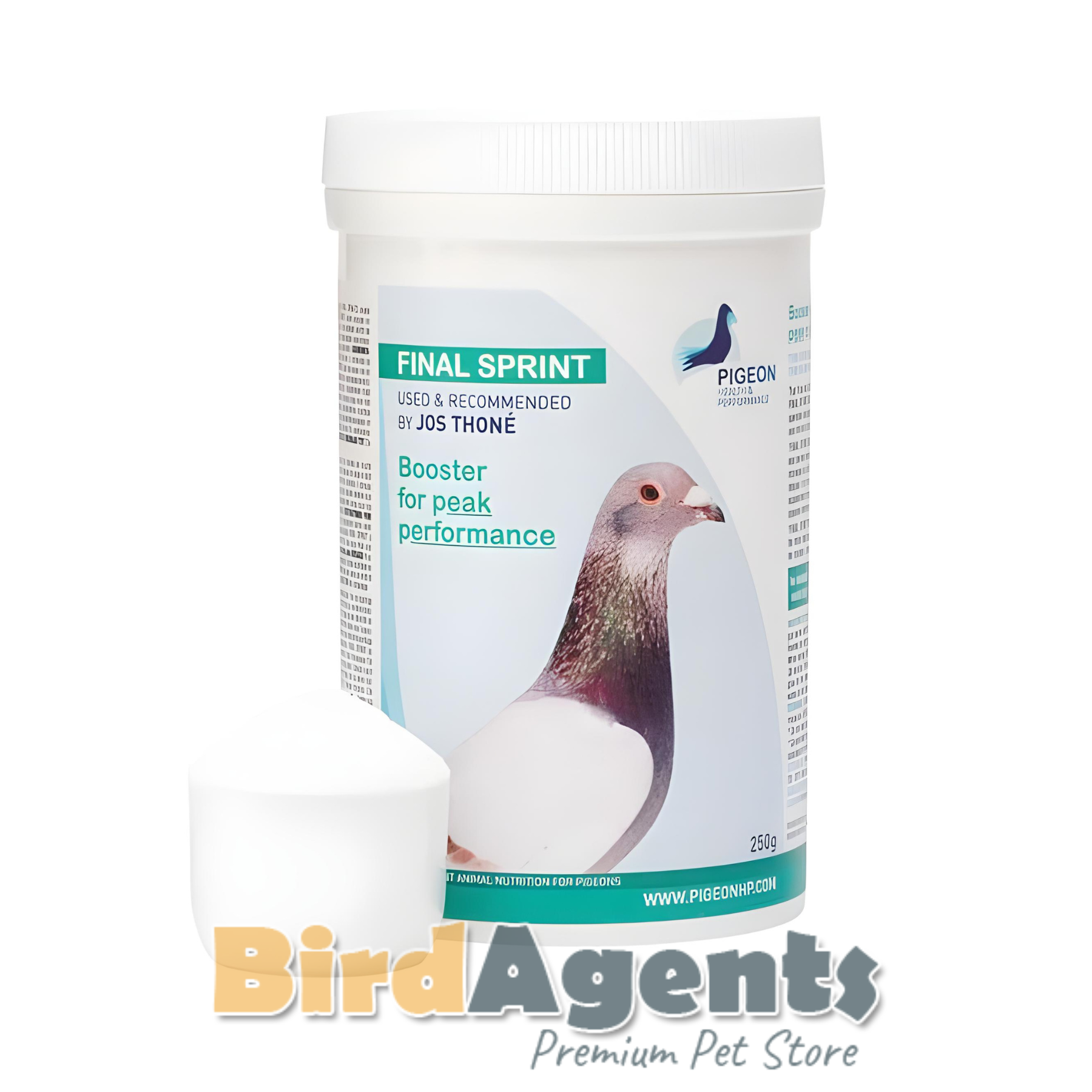 PHP Final Sprint - For Short Distance Performance – BirdAgents.pk