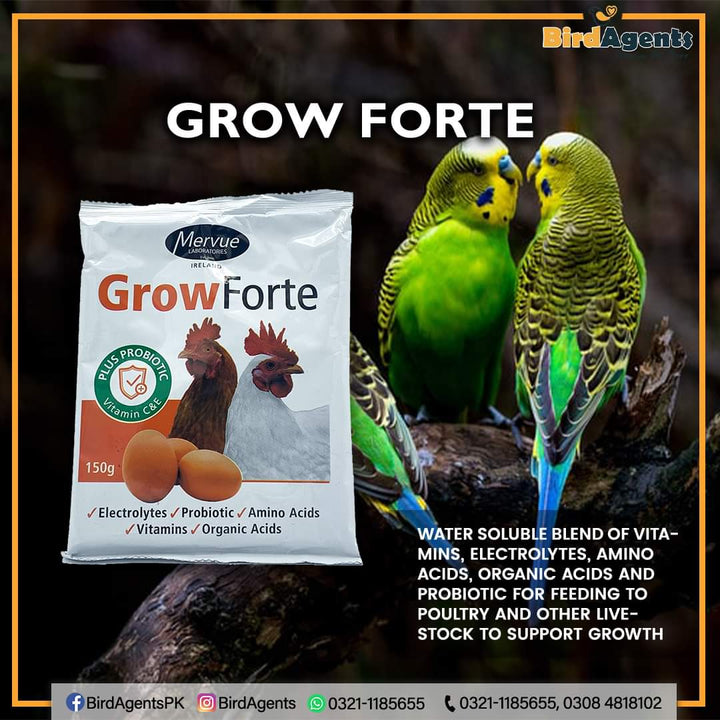 Bird Electrolyte & Boosters – BirdAgents.pk