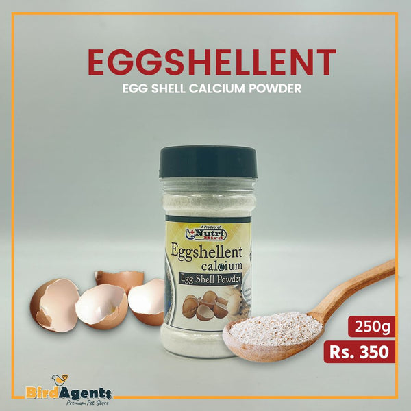 Egg Shell Powder - Promotes Strong Bones & Health – BirdAgents.pk