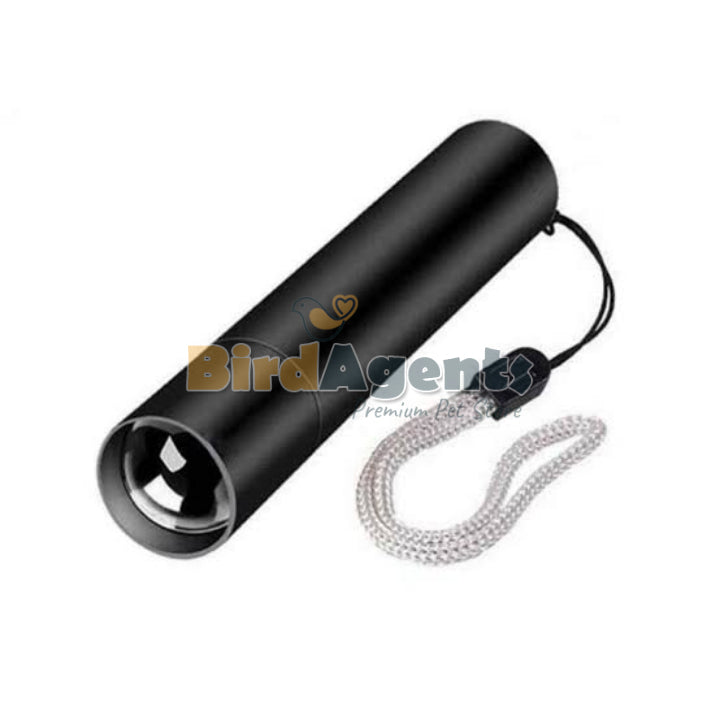 Egg Candling Flashlight - High Quality LED Light – BirdAgents.pk